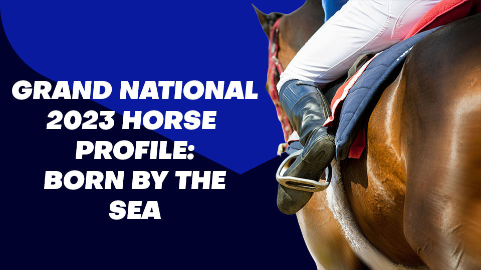 Born By The Sea Grand National Odds Betting Profile HorseRacing Born By The Sea Grand National Odds Betting Profile HorseRacing