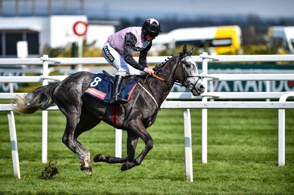 Free Horse Racing Tipsters UK | HorseRacing.net