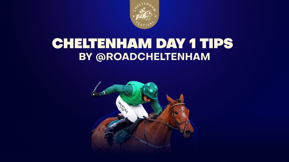 Supreme Novices Hurdle Tips 2024 - Cheltenham Day 1 Race 1 Tips - serwer2311392.home.pl